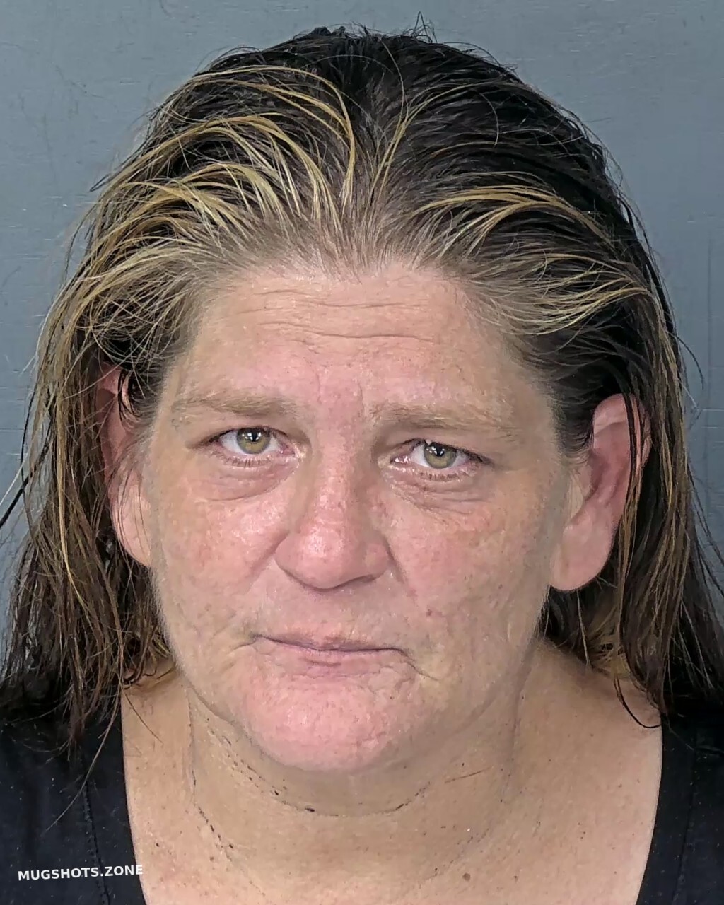 MARTIN NICHOLLE KRISTINE 06/05/2025 - Hernando County Mugshots Zone