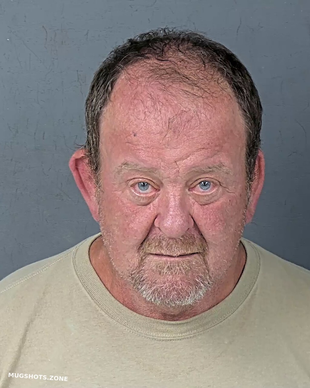 SMITH STUART LEE 06/05/2025 - Hernando County Mugshots Zone