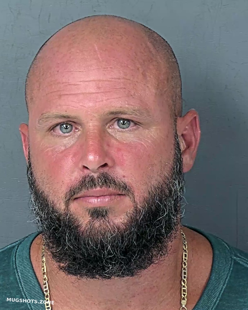 GAVISH BENJAMIN DAVID 06/06/2025 - Hernando County Mugshots Zone