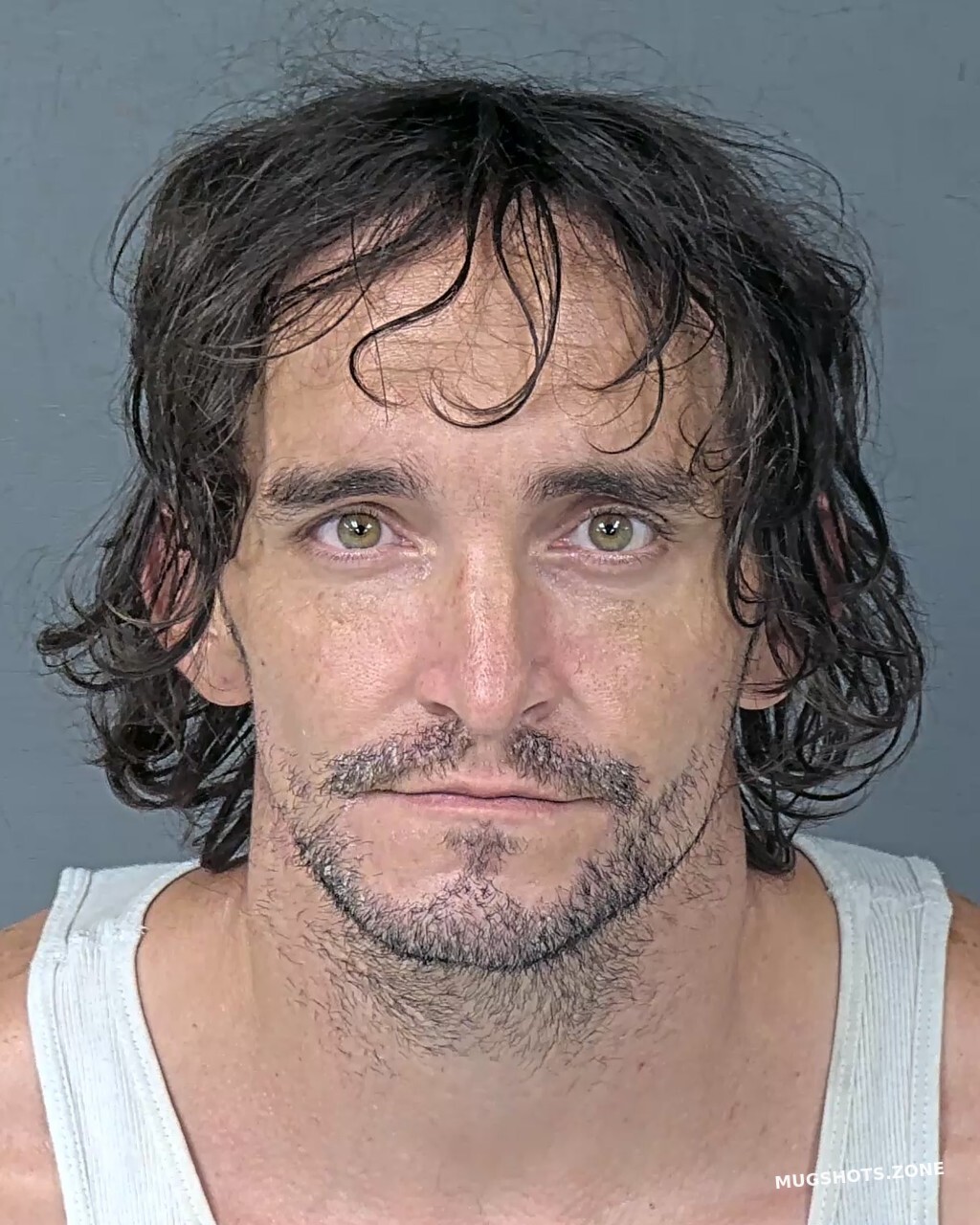 NELSON BRANDON WADE 06/08/2025 - Hernando County Mugshots Zone