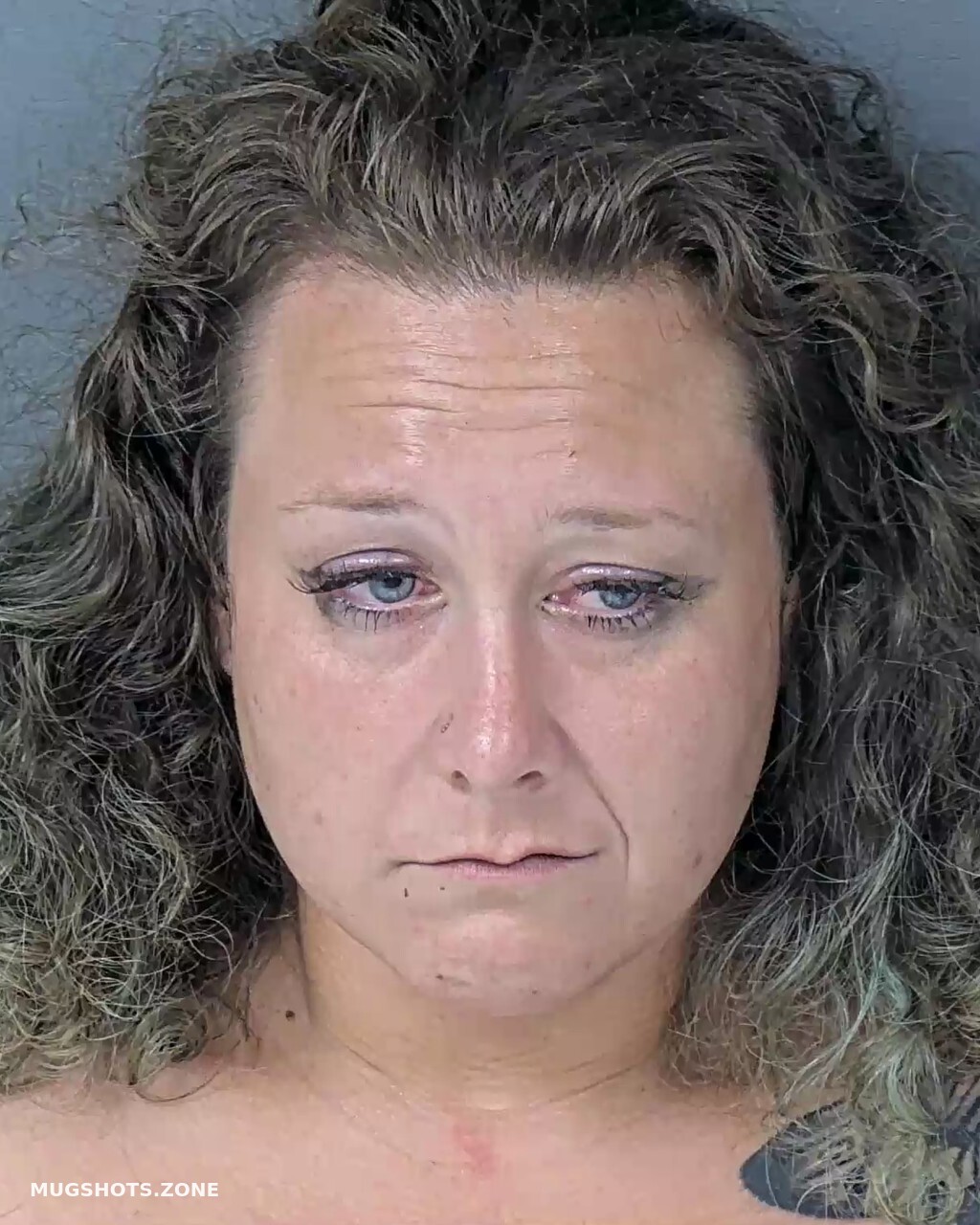 FREERKSEN REBECCA LYNN 06/09/2025 - Hernando County Mugshots Zone