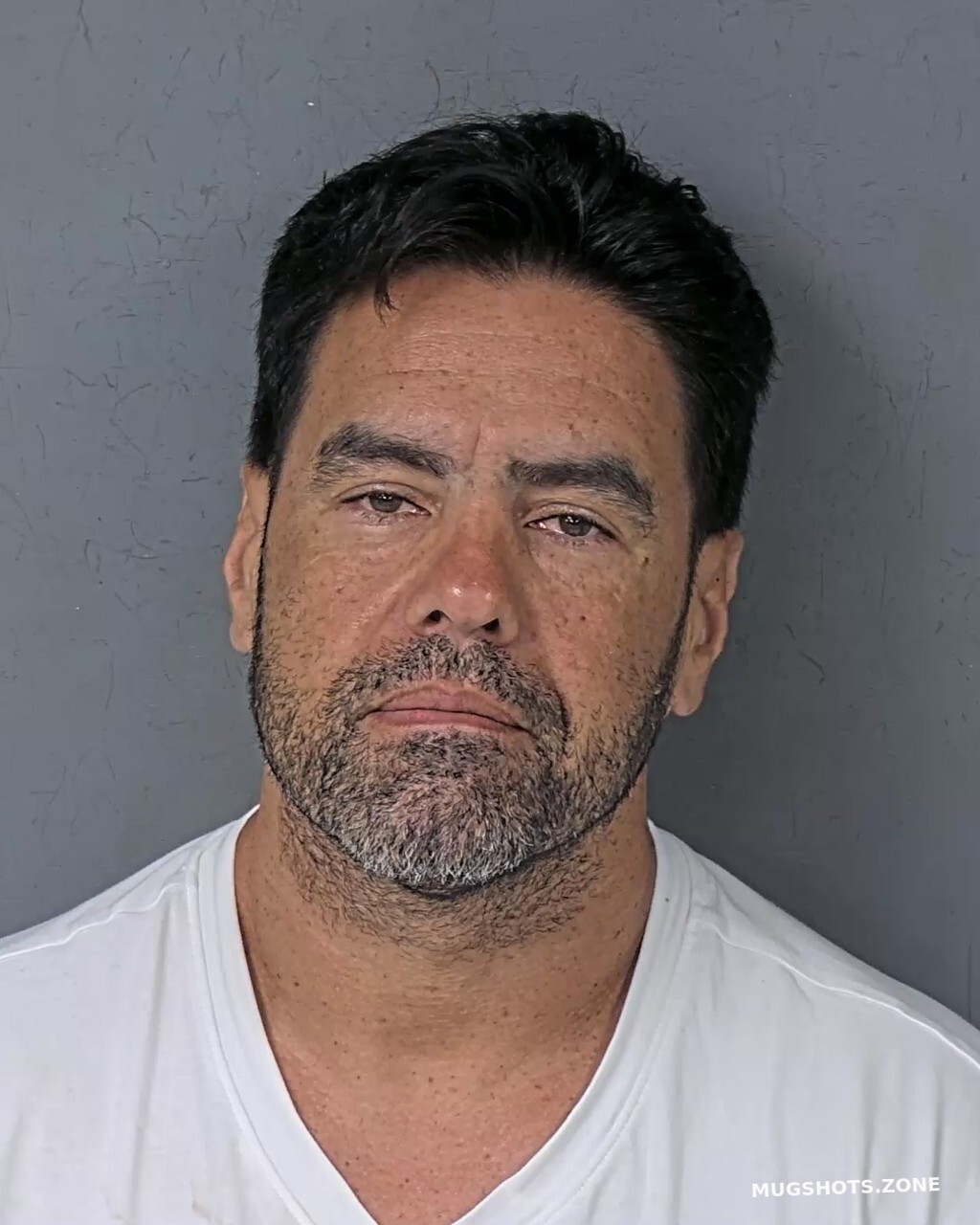 OLMO GEORGE LOUIS 06/09/2025 - Hernando County Mugshots Zone