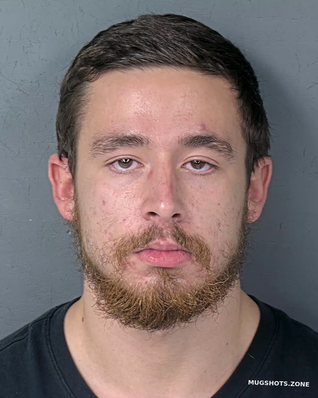 BERKSHIRE BRAYDEN DOUGLAS 06/10/2025 - Hernando County Mugshots Zone