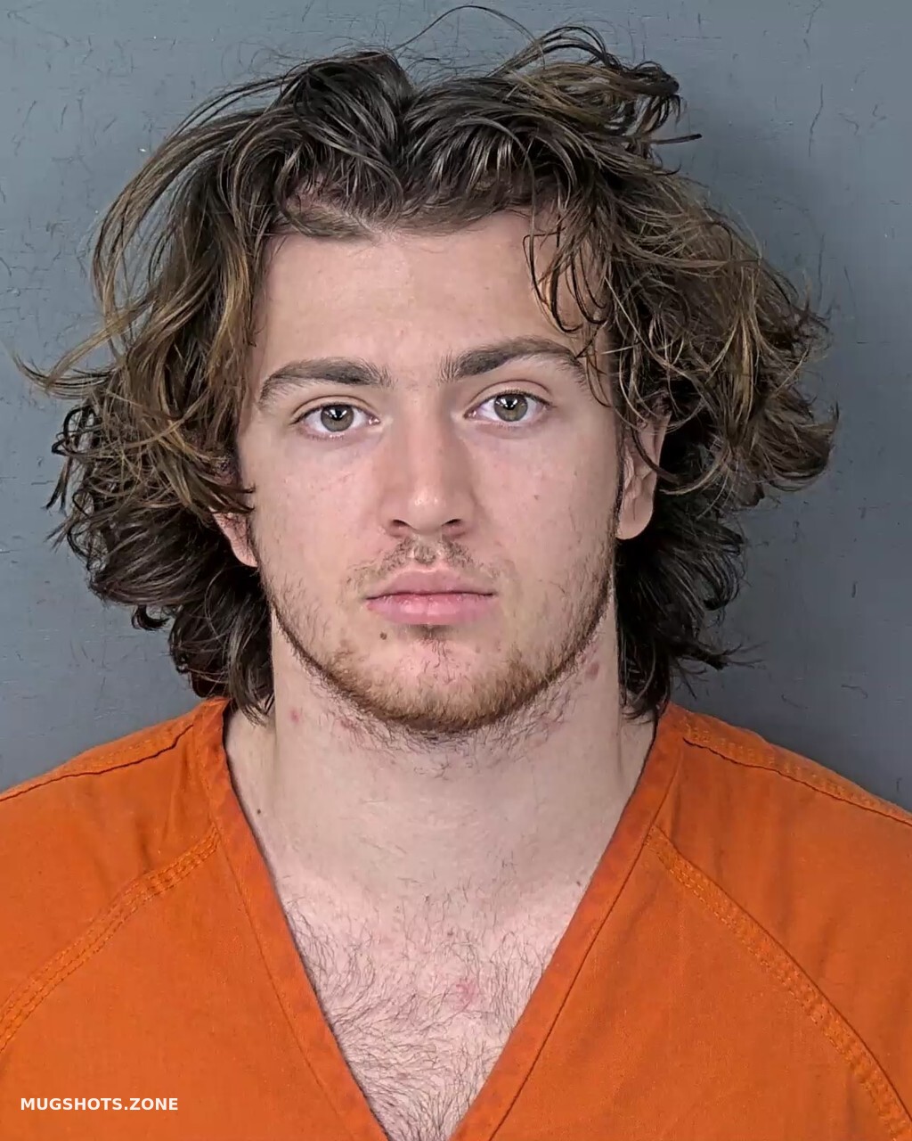 CHANDLER LANDON CHARLES 06/10/2025 - Hernando County Mugshots Zone