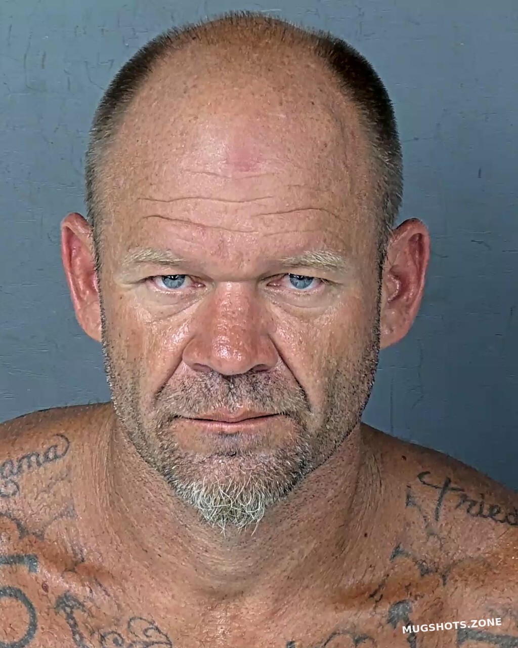 REECE AARON MATTHEW 06/12/2025 - Hernando County Mugshots Zone