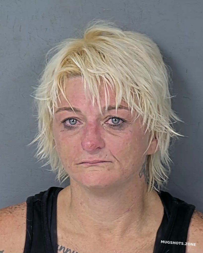 HICKS RACHEL ELIZABETH 06/14/2025 - Hernando County Mugshots Zone