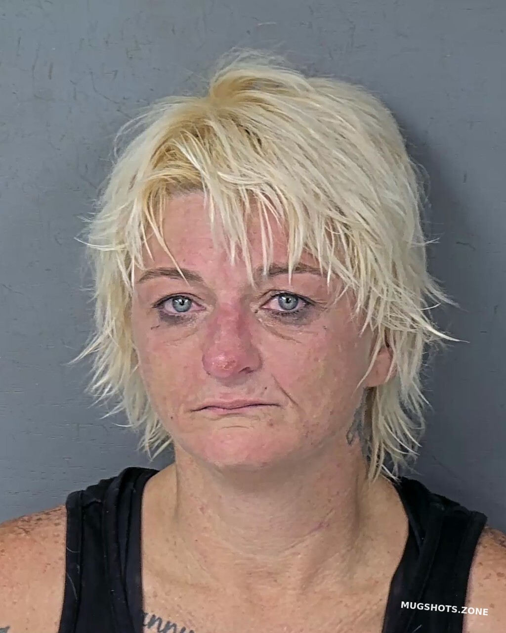 HICKS RACHEL ELIZABETH 06/14/2025 - Hernando County Mugshots Zone