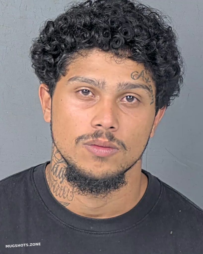 TORRES JAIRO JAIR 06/15/2025 - Hernando County Mugshots Zone