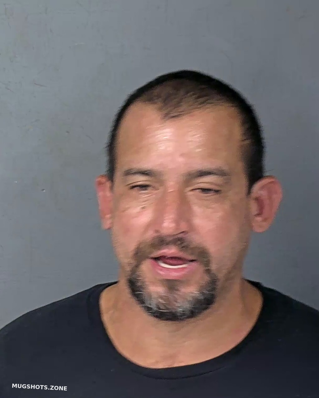 RODRIGUEZ CARLOS ENRIQUE 06/15/2025 - Hernando County Mugshots Zone