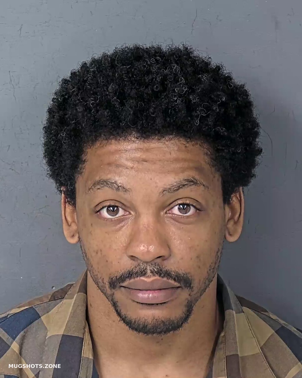 SCONIERS AUSTYN JAY FITZGERALD 06/17/2025 - Hernando County Mugshots Zone