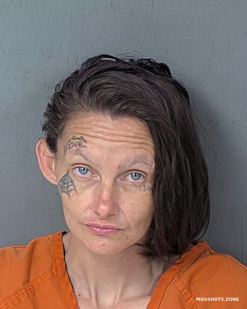 EGGLETON JESSICA ANN 06/17/2025 - Hernando County Mugshots Zone