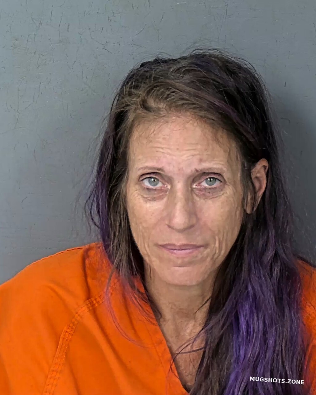STILSON AMY L 06/17/2025 - Hernando County Mugshots Zone