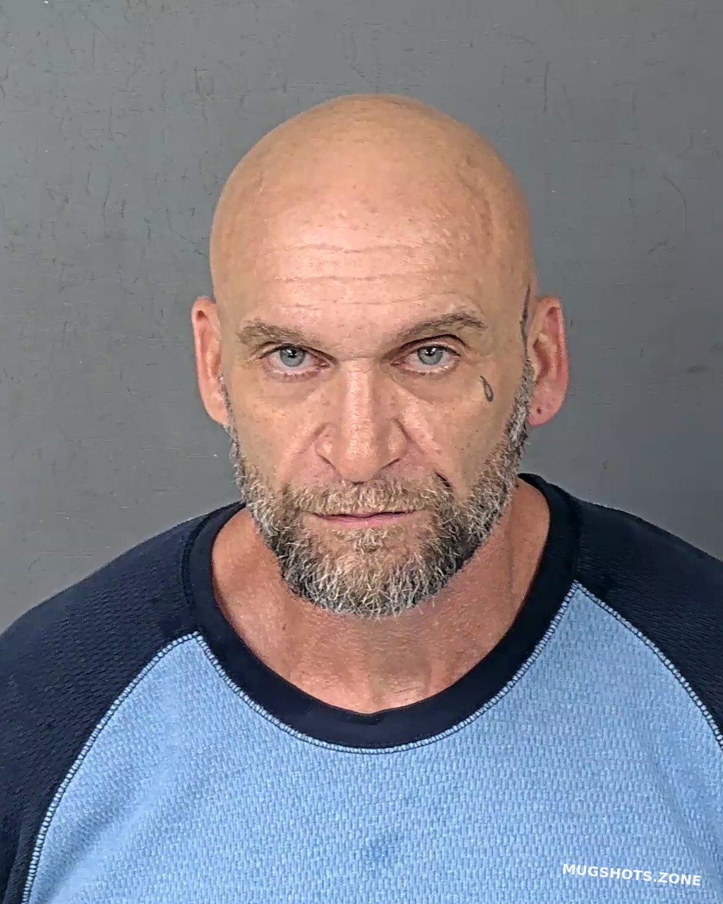 ALGERI SHAWN DAVID 06/19/2025 - Hernando County Mugshots Zone