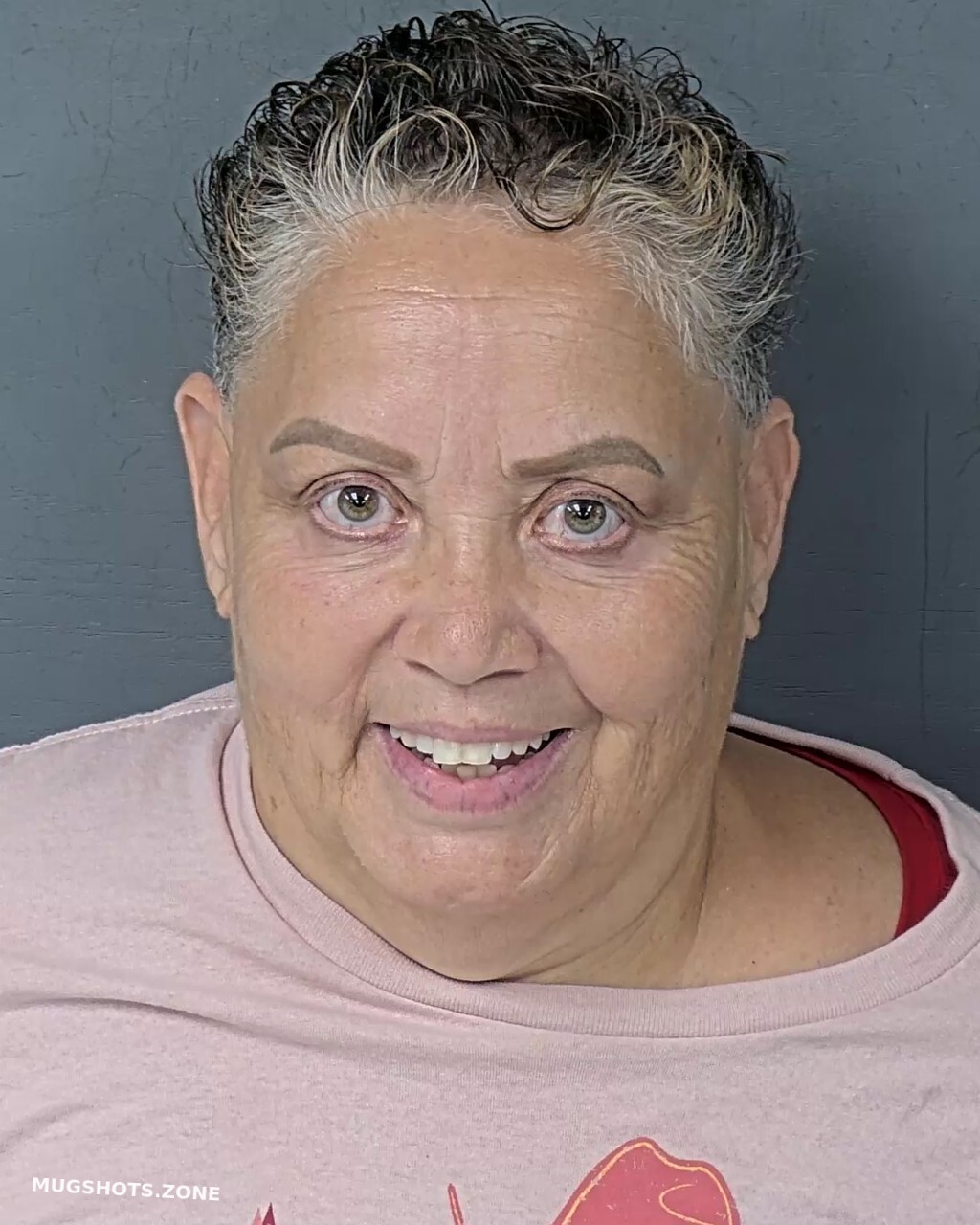 RIVERA SONIA NOEMI 06/19/2025 - Hernando County Mugshots Zone