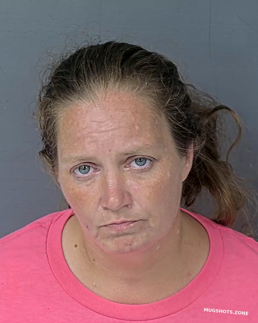 FORD CRYSTAL ANN 06/19/2025 - Hernando County Mugshots Zone