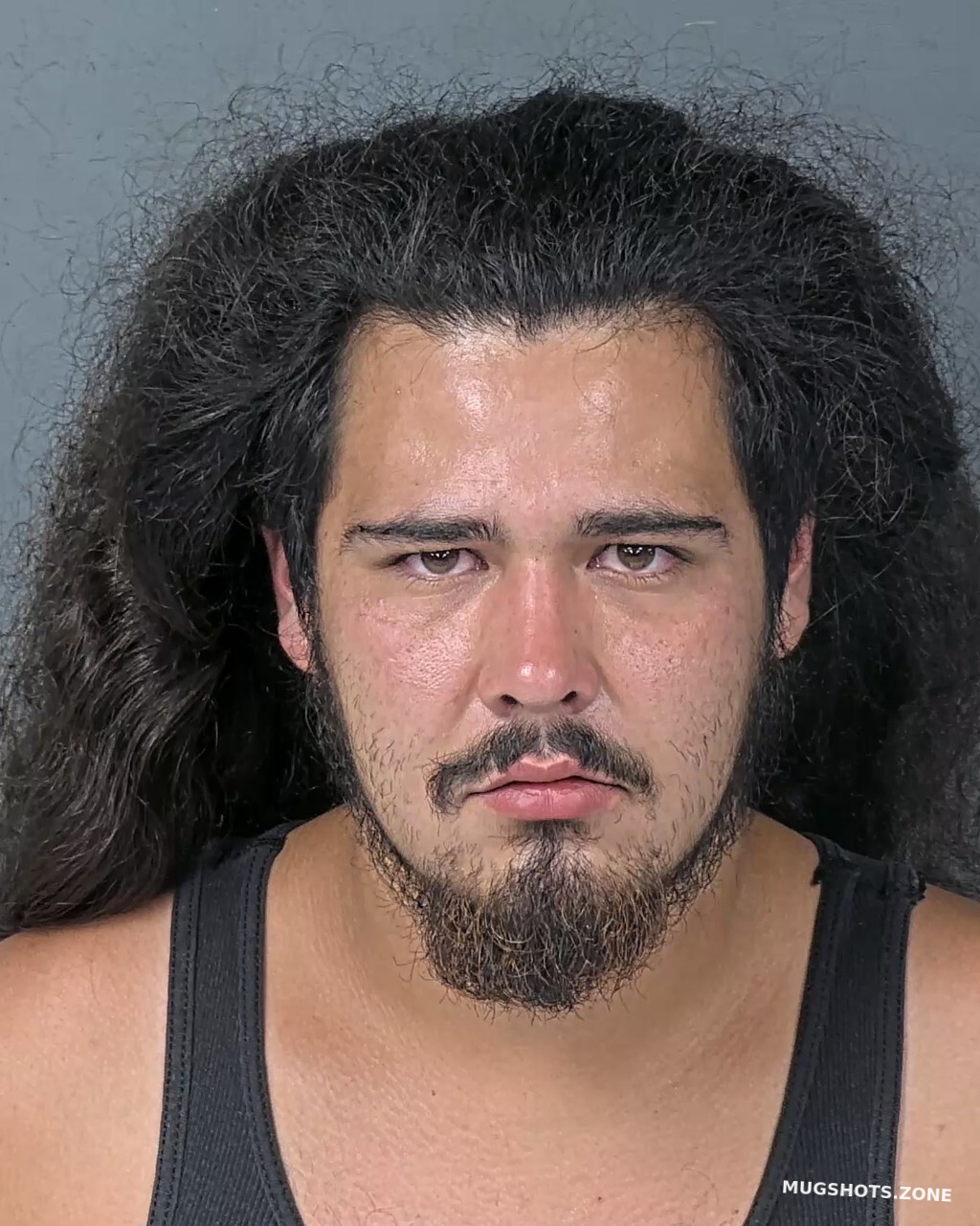 JAIMES GABRIEL JOEL 06/23/2025 - Hernando County Mugshots Zone