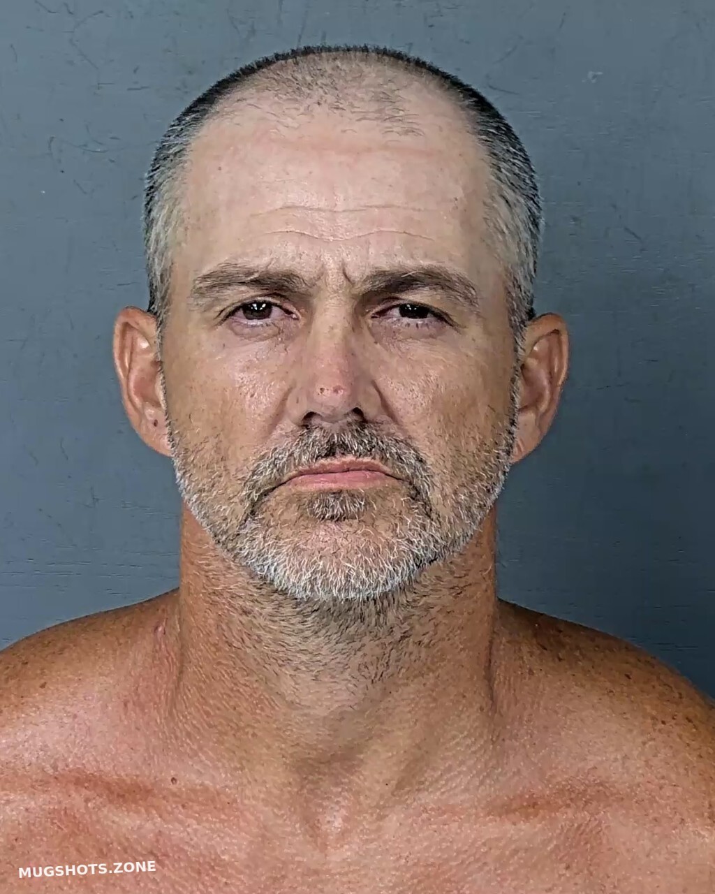 ALBRITTON DAVID LEE 06/23/2025 - Hernando County Mugshots Zone