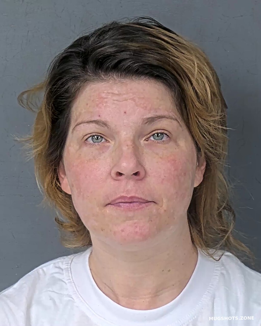 MANCINI SHELLY ANN 06/23/2025 - Hernando County Mugshots Zone