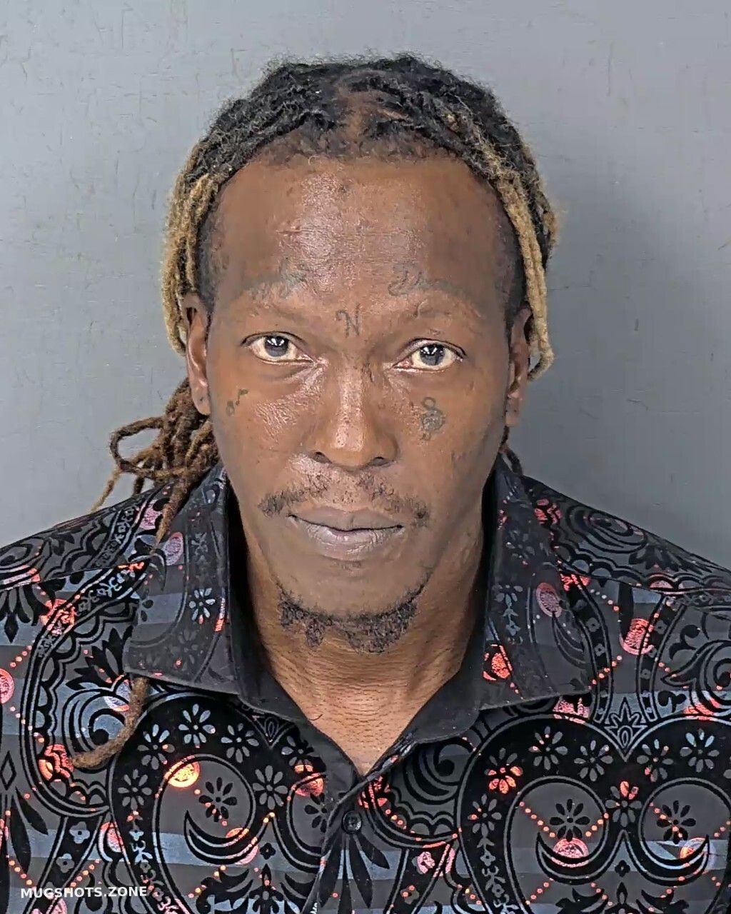 BARNES ALVIN 06/24/2025 - Hernando County Mugshots Zone
