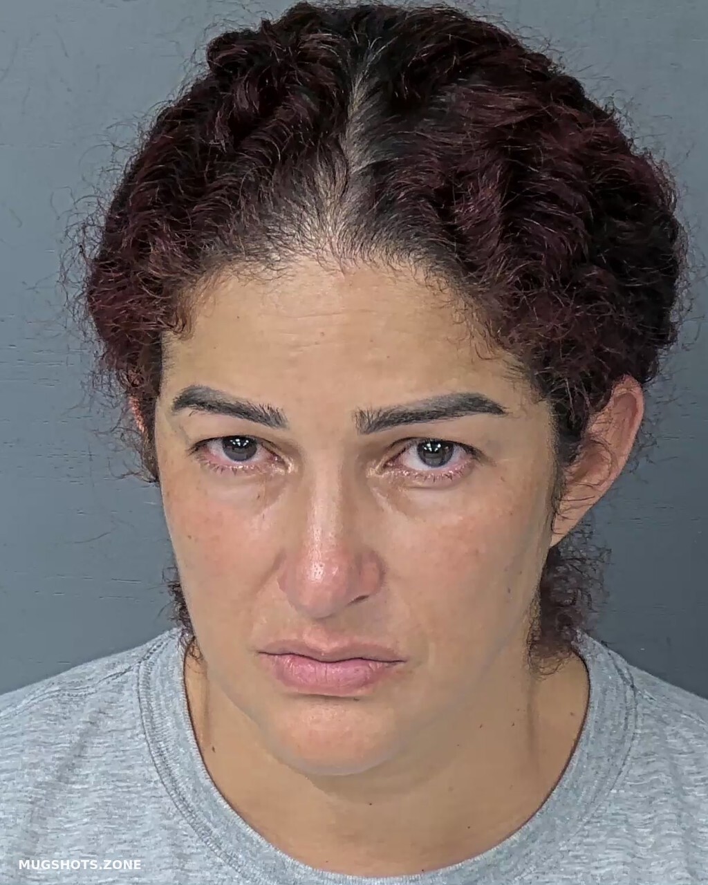 MEDINA MURGUIA ALIASAY 06/25/2025 - Hernando County Mugshots Zone