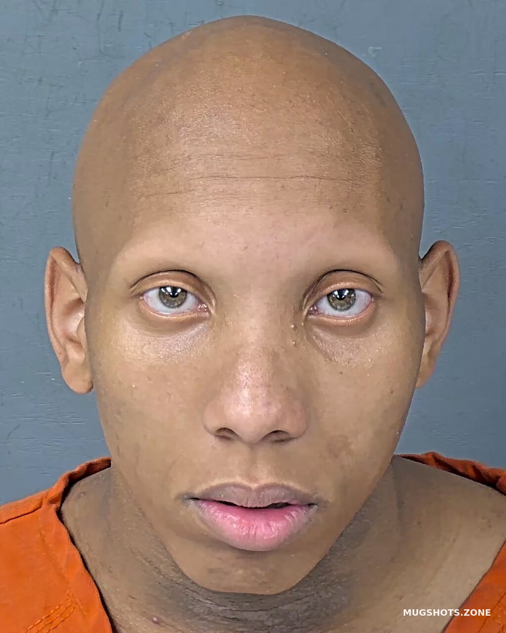 HARDY KEYSHAWN 06/25/2025 - Hernando County Mugshots Zone