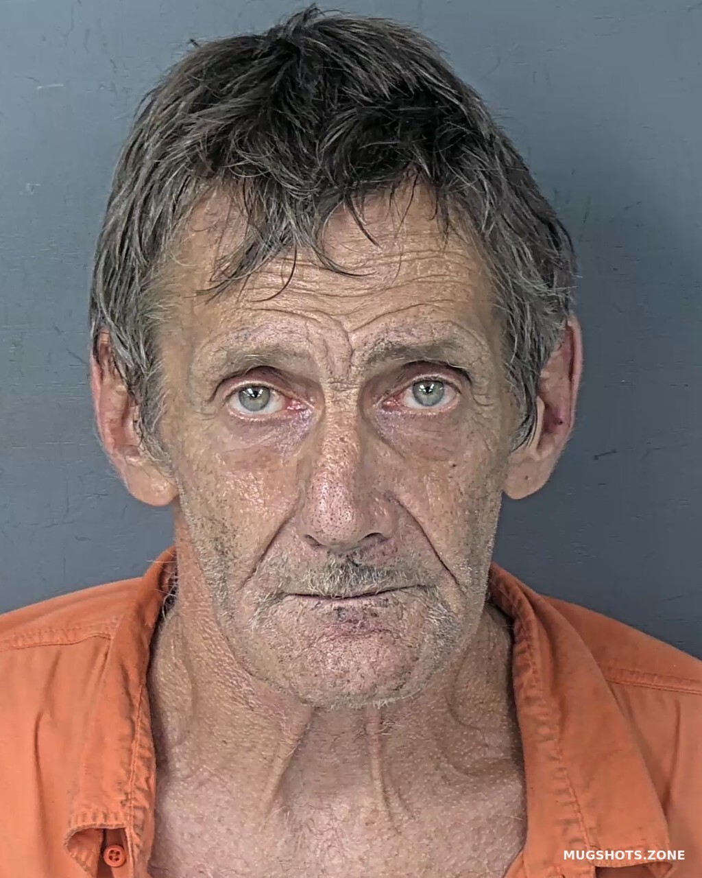 MUZYK WALTER CHARLES 06/26/2025 - Hernando County Mugshots Zone