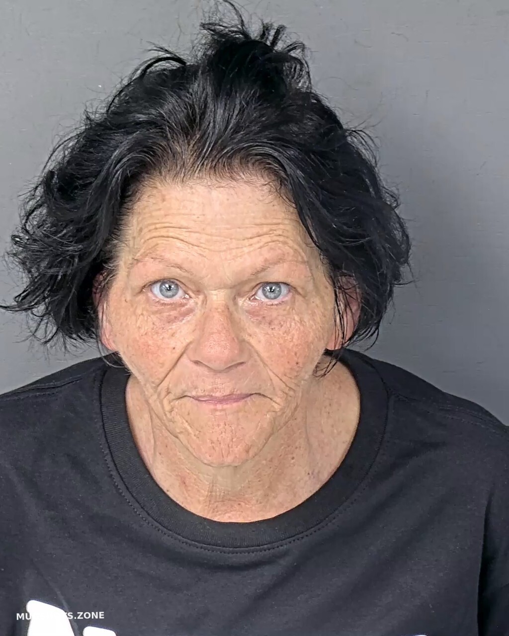 MCMILLAN LISA MICHELLE 06/27/2025 - Hernando County Mugshots Zone