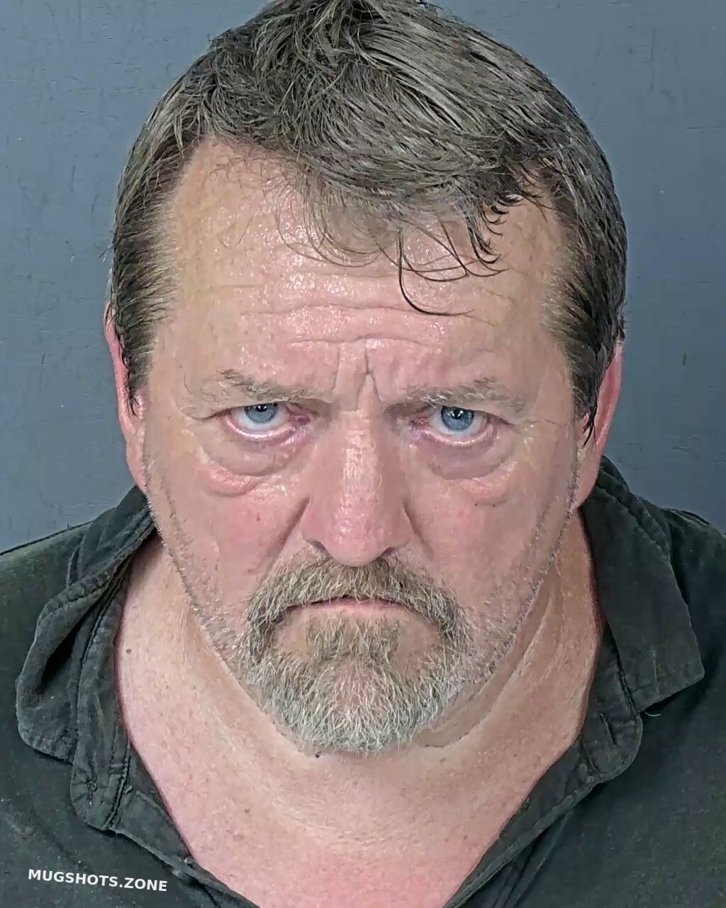 DEMENT JERRY LEE 06/28/2025 - Hernando County Mugshots Zone