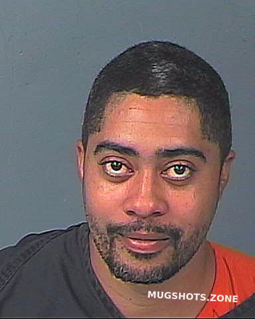 GUZMAN ROBERT ROSA 06/28/2025 - Hernando County Mugshots Zone