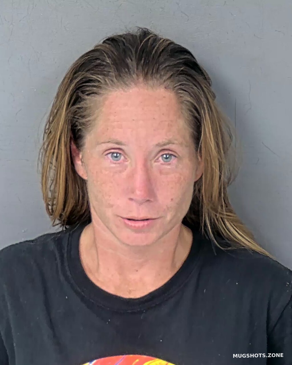 KROUSE KIMBERLY ELIZABETH 07/01/2025 - Hernando County Mugshots Zone