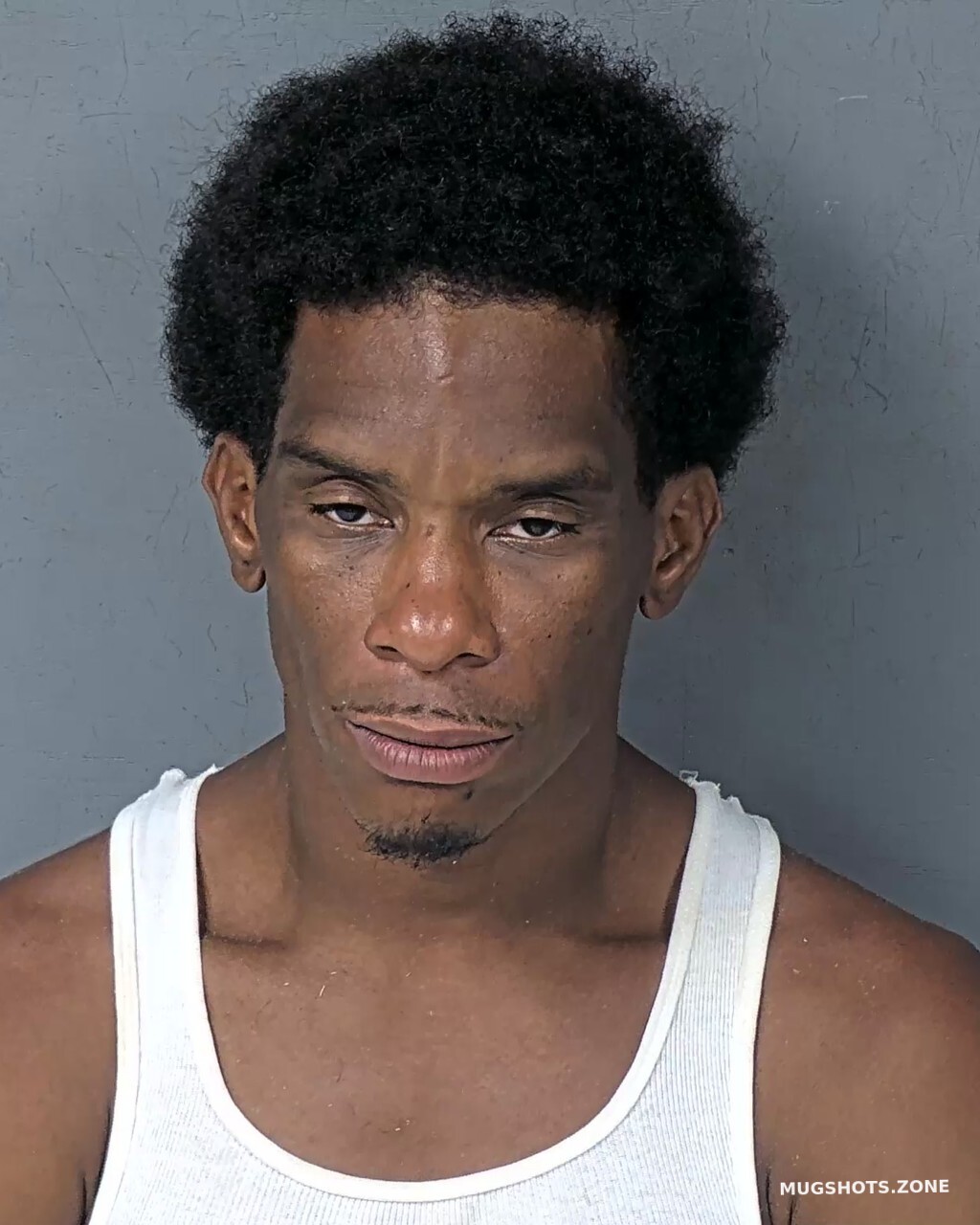 DAVIS JELANI 07/01/2025 - Hernando County Mugshots Zone