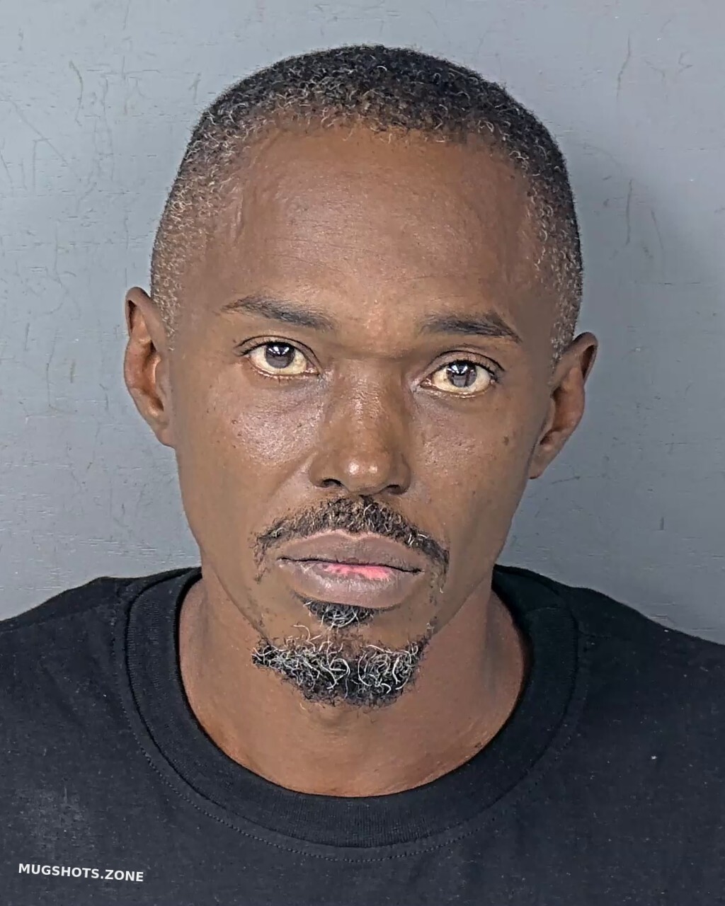 DUNBAR YANCY LAMAR 07/01/2025 - Hernando County Mugshots Zone