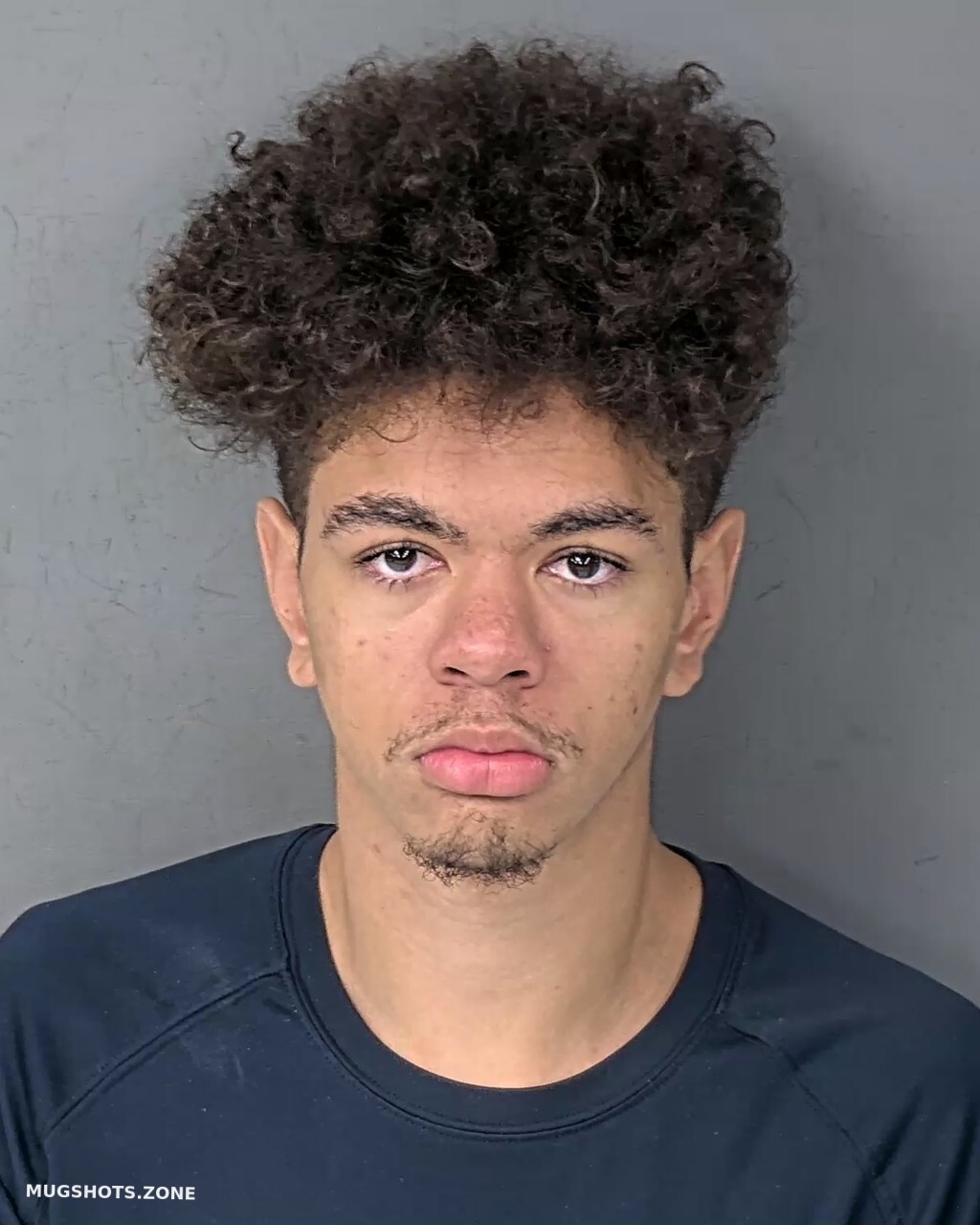 INMON LEE ARTHUR 07/01/2025 - Hernando County Mugshots Zone