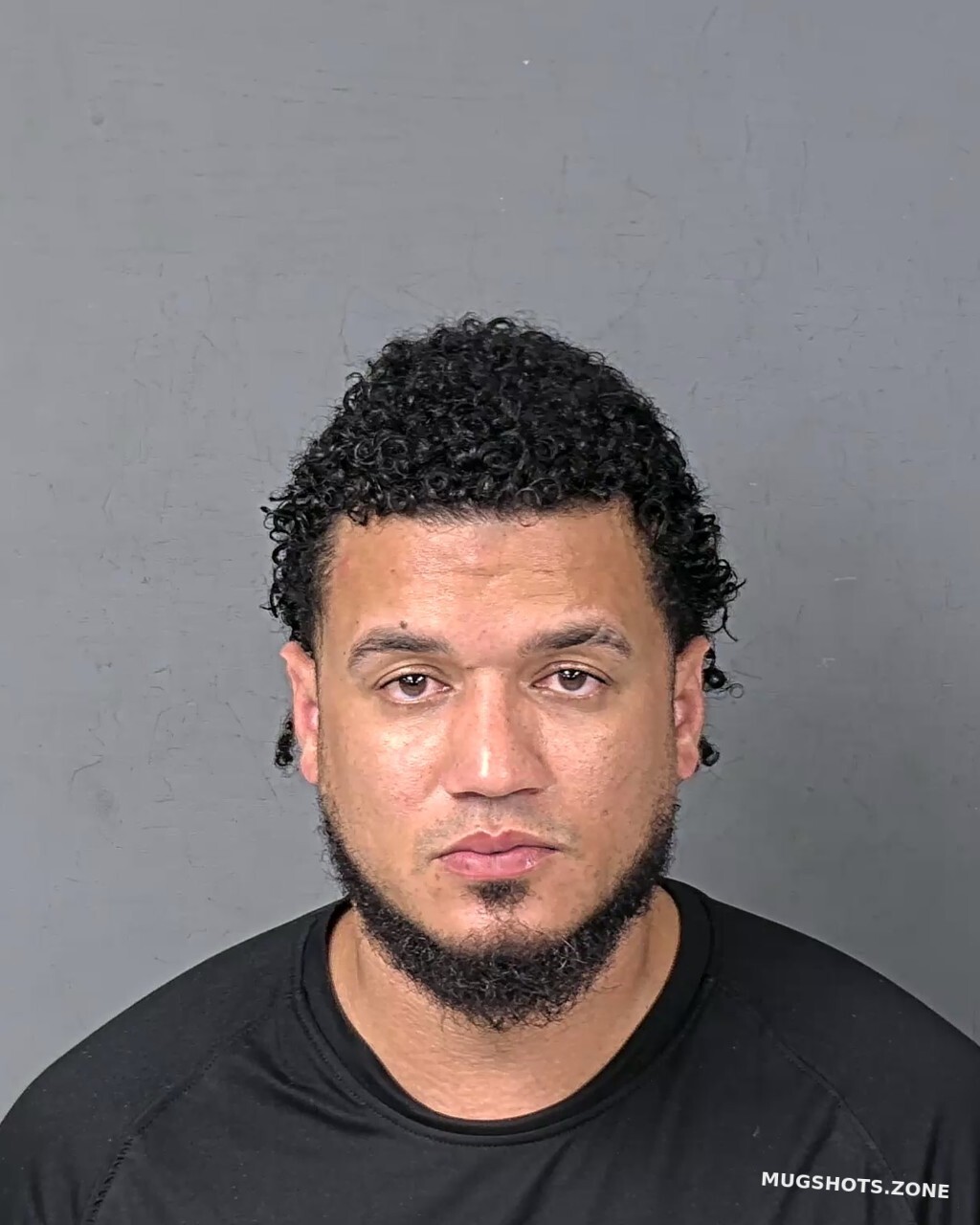 GONZALEZ LOPEZ GABRIEL ALEJAN 07/04/2025 - Hernando County Mugshots Zone
