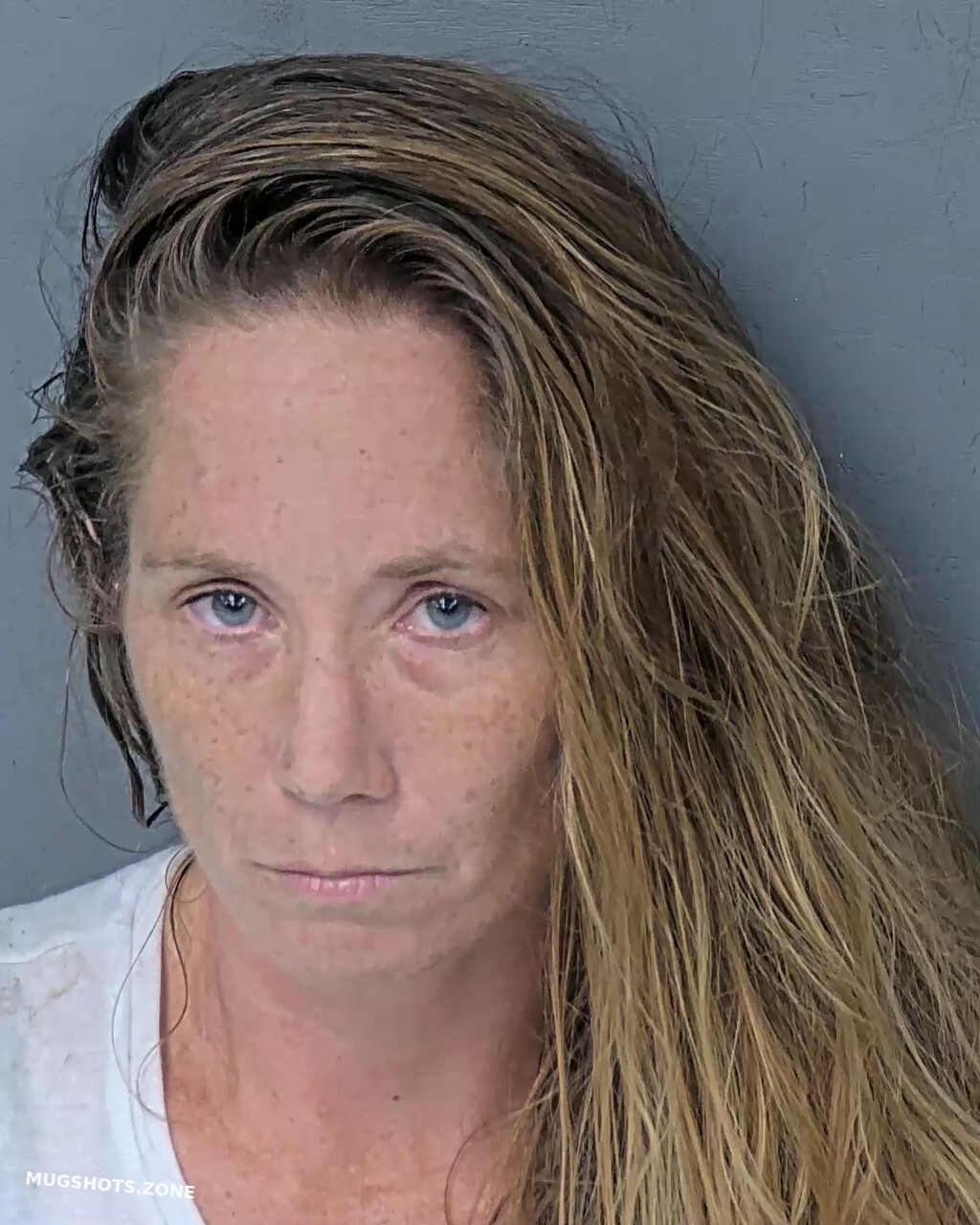 KROUSE KIMBERLY ELIZABETH 07/08/2025 - Hernando County Mugshots Zone