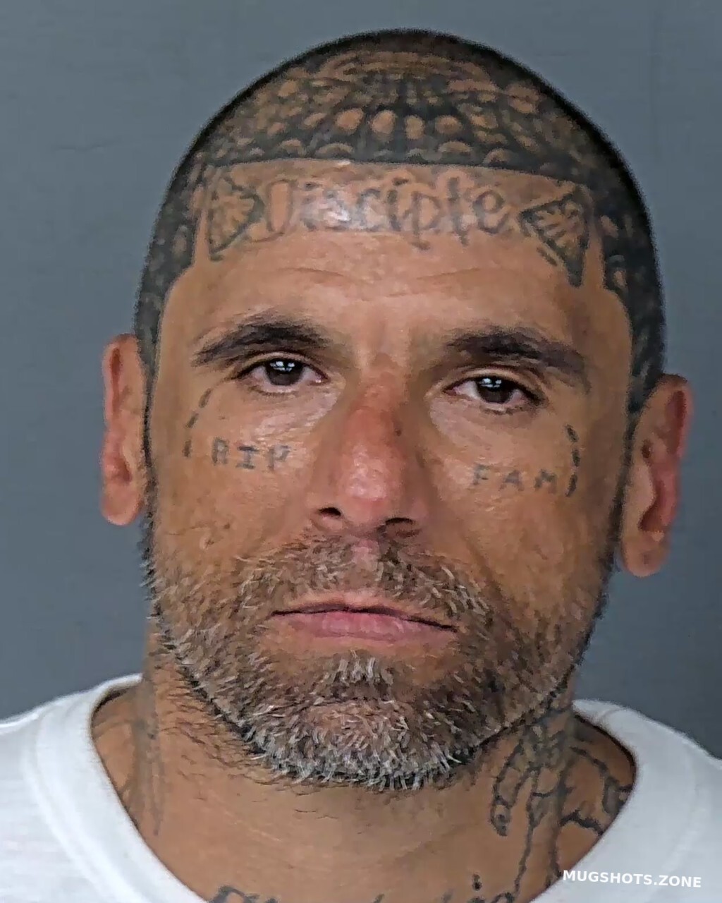 FLARITY JOEVONNE LEWIS 07/10/2025 - Hernando County Mugshots Zone