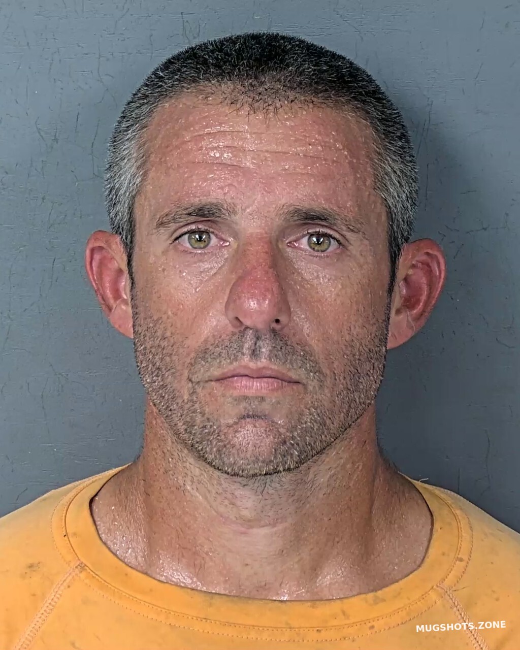 ANDERSON KEITH RICHARD 07/17/2025 - Hernando County Mugshots Zone
