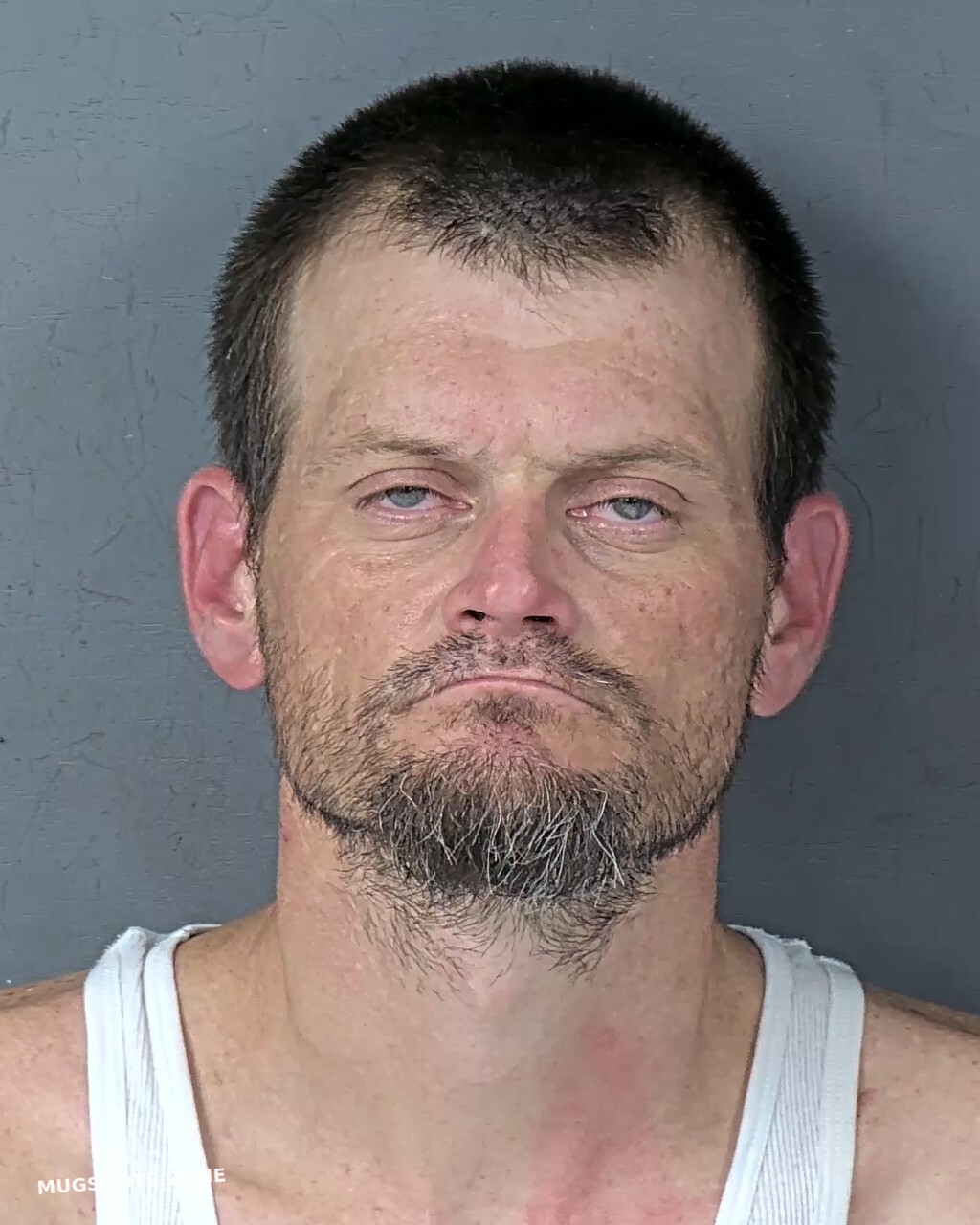 DUNCAN JUSTIN WILLIAM 07/18/2025 - Hernando County Mugshots Zone