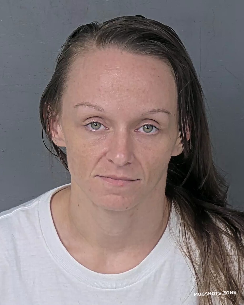 ROBERTS HEATHER RENEE 07/20/2025 - Hernando County Mugshots Zone