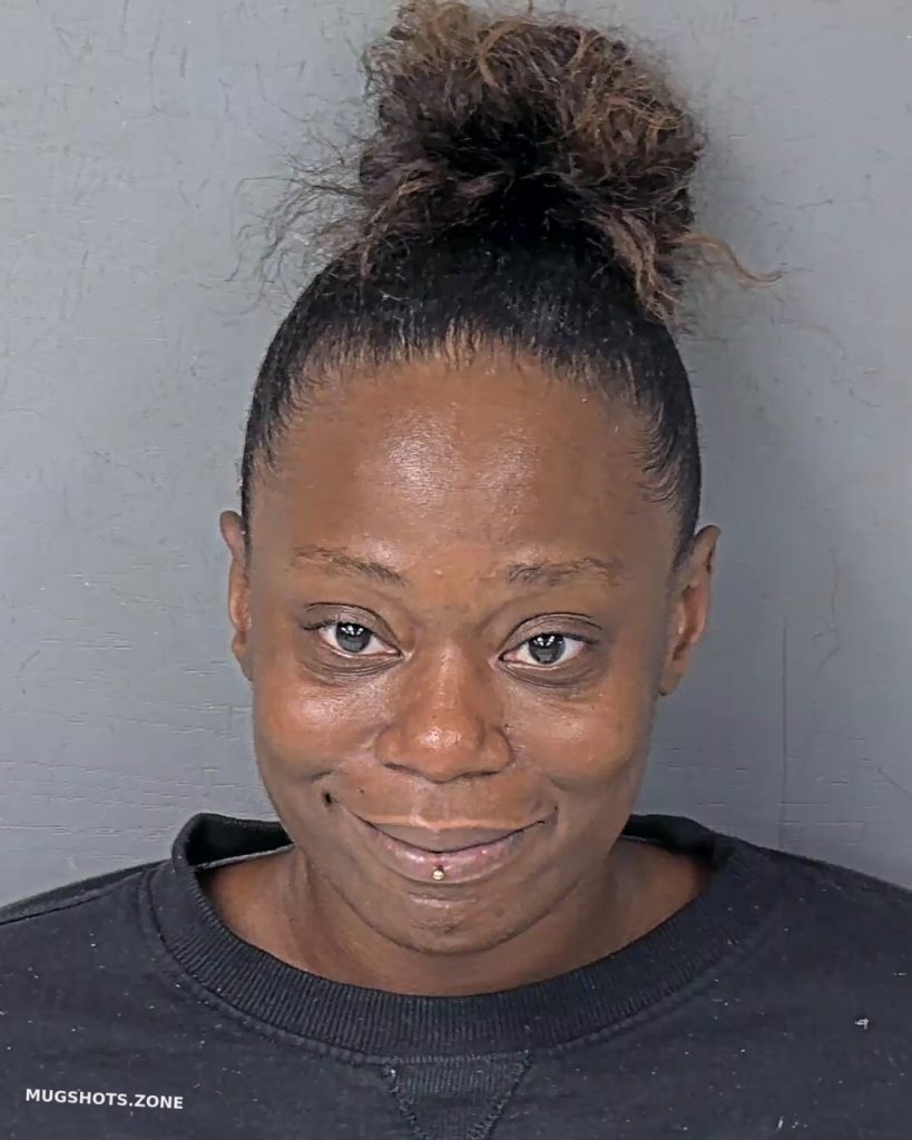 MORIN KATHERINE ANN 07/21/2025 - Hernando County Mugshots Zone