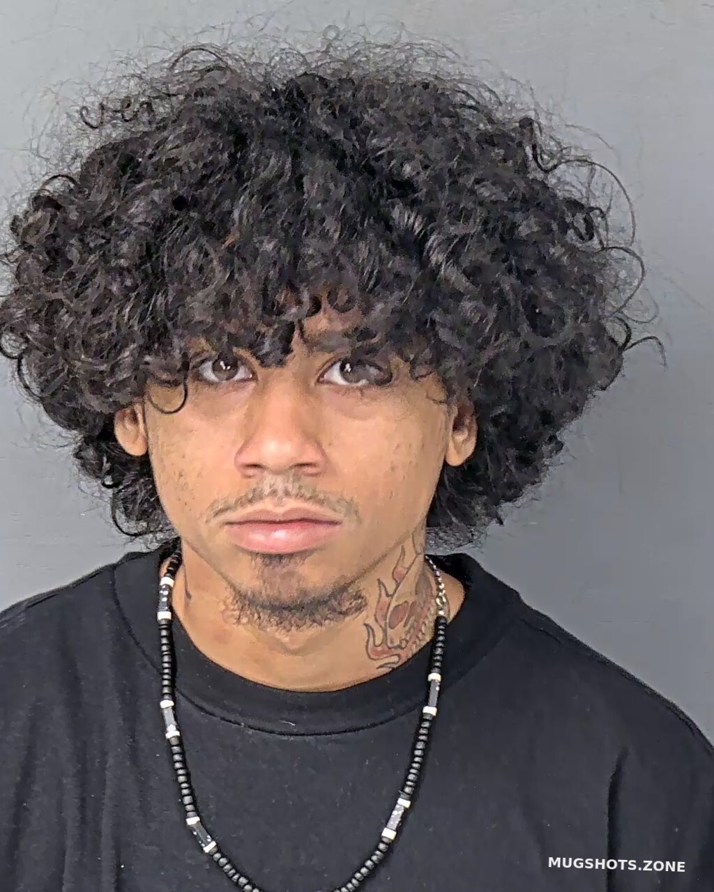 MCLAUGHLIN CHARLIE 07/22/2025 - Hernando County Mugshots Zone