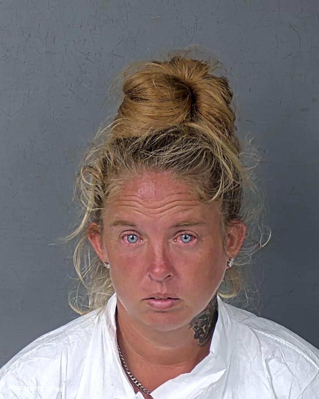 TOMON RACHEL MARIE 07/23/2025 - Hernando County Mugshots Zone