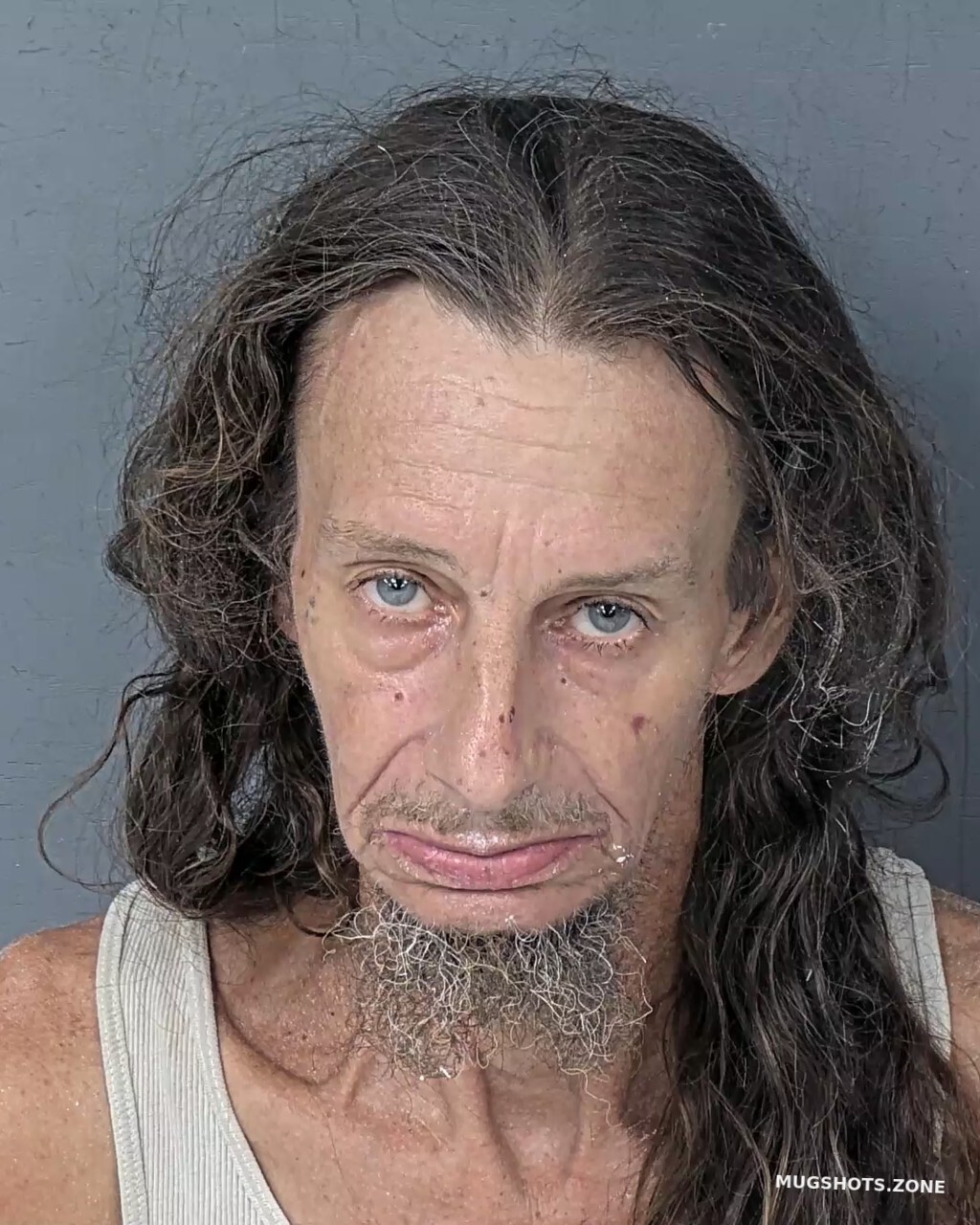 BAUMGARTNER FREDERICK FRANK 07/23/2025 - Hernando County Mugshots Zone