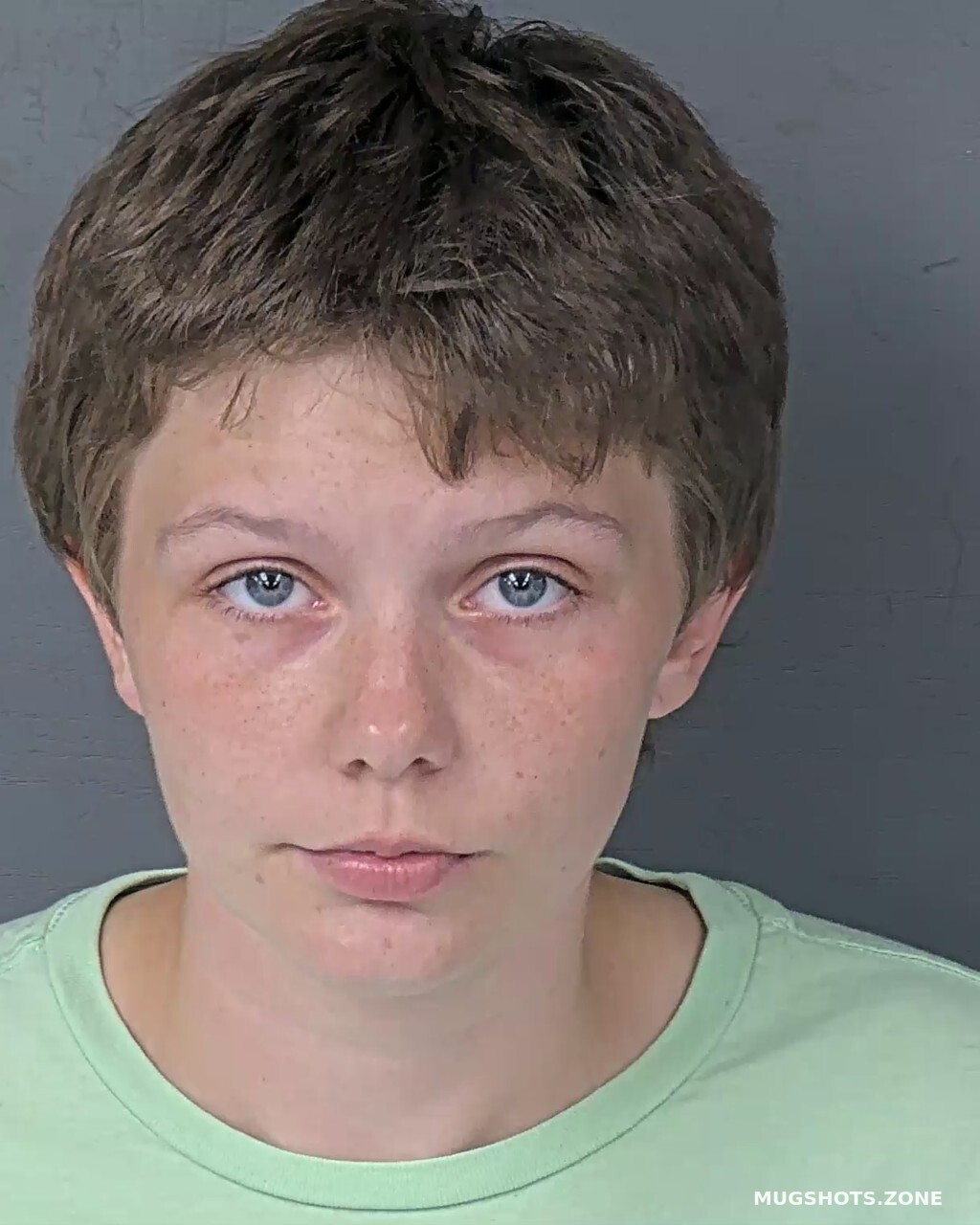 BRELAND ALLISON VICTORIA 07/25/2025 - Hernando County Mugshots Zone
