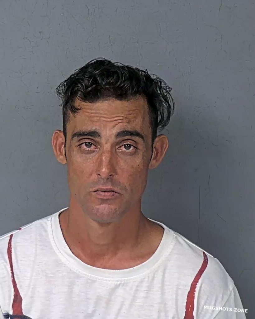 POLANCO BARBERIS ALBERTO 07/26/2025 - Hernando County Mugshots Zone