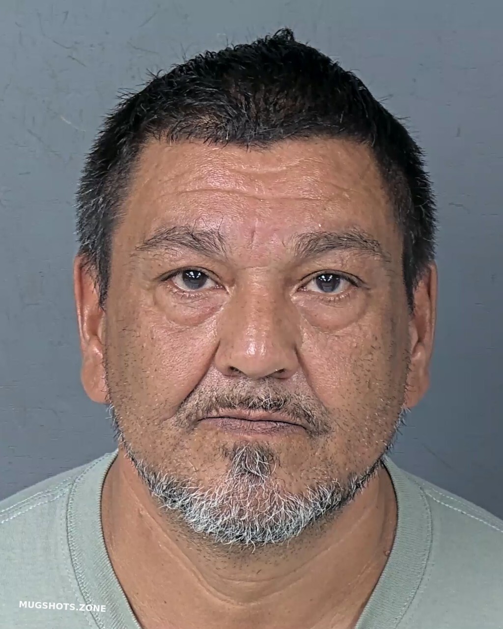 REYES ENOEL 07/30/2025 - Hernando County Mugshots Zone