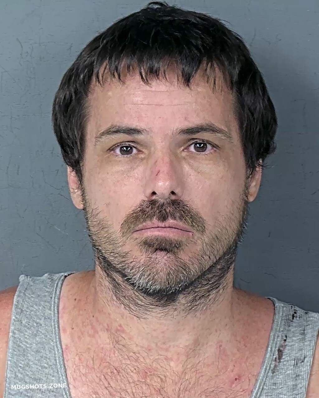 FAIELLA WILLIAM PETER 07/30/2025 - Hernando County Mugshots Zone