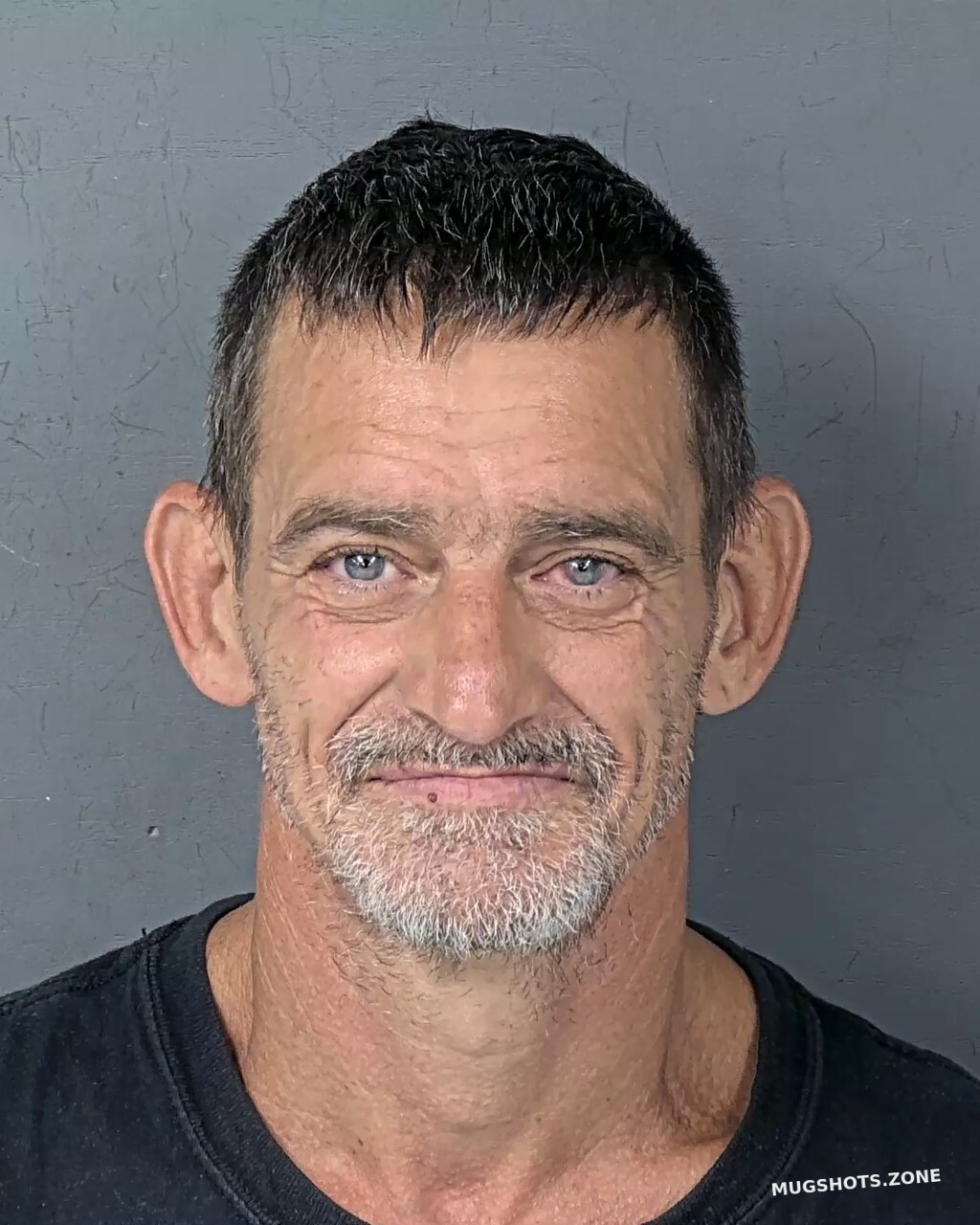 GRIEVES LONNIE LEE 08/01/2025 - Hernando County Mugshots Zone