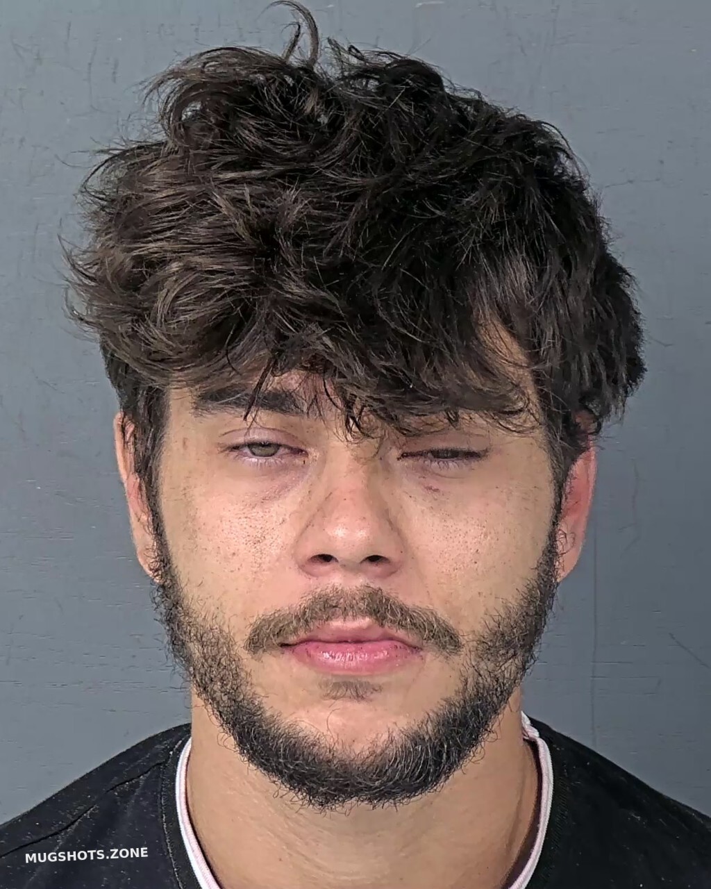 JOWERS MATTHEW 08/02/2025 - Hernando County Mugshots Zone