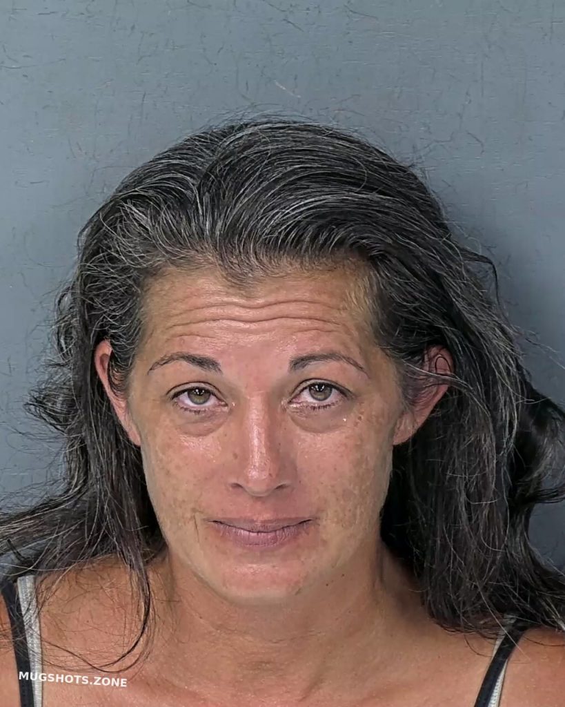 NOCELLA LISA MARIE 08/06/2025 - Hernando County Mugshots Zone